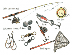 Redfin | Fishcare Victoria